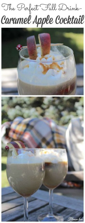 Caramel Apple Cocktail - the Perfect Fall Drink - Lehman Lane