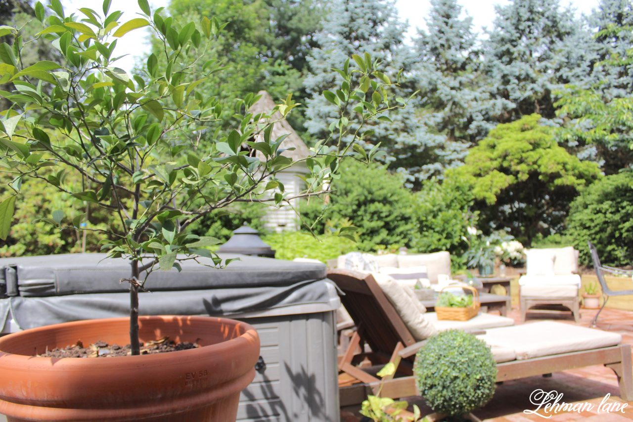 Beautiful Back Patio Makeover Reveal with 8 DIY Project Ideas - Lehman Lane