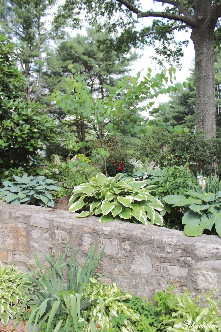 Beautiful Summer Garden & 10 More Outdoor Spaces with Summer Gardening ...