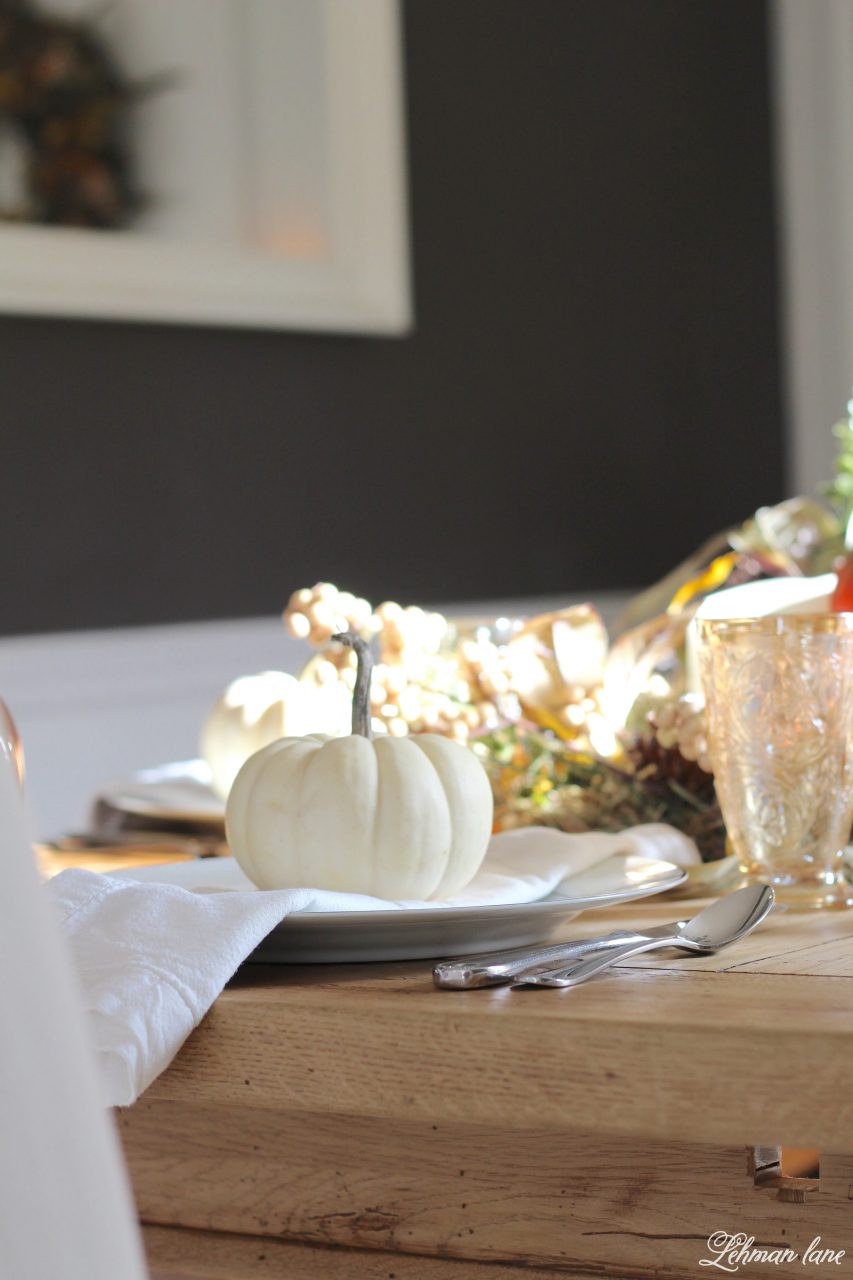 Gorgeous Farmhouse Fall Tablescape Ideas for Thanksgiving - Lehman Lane