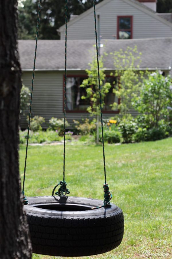 DIY - How to Make a Tire Swing for 2 Kids (Easy Set Up in 1 Hour ...