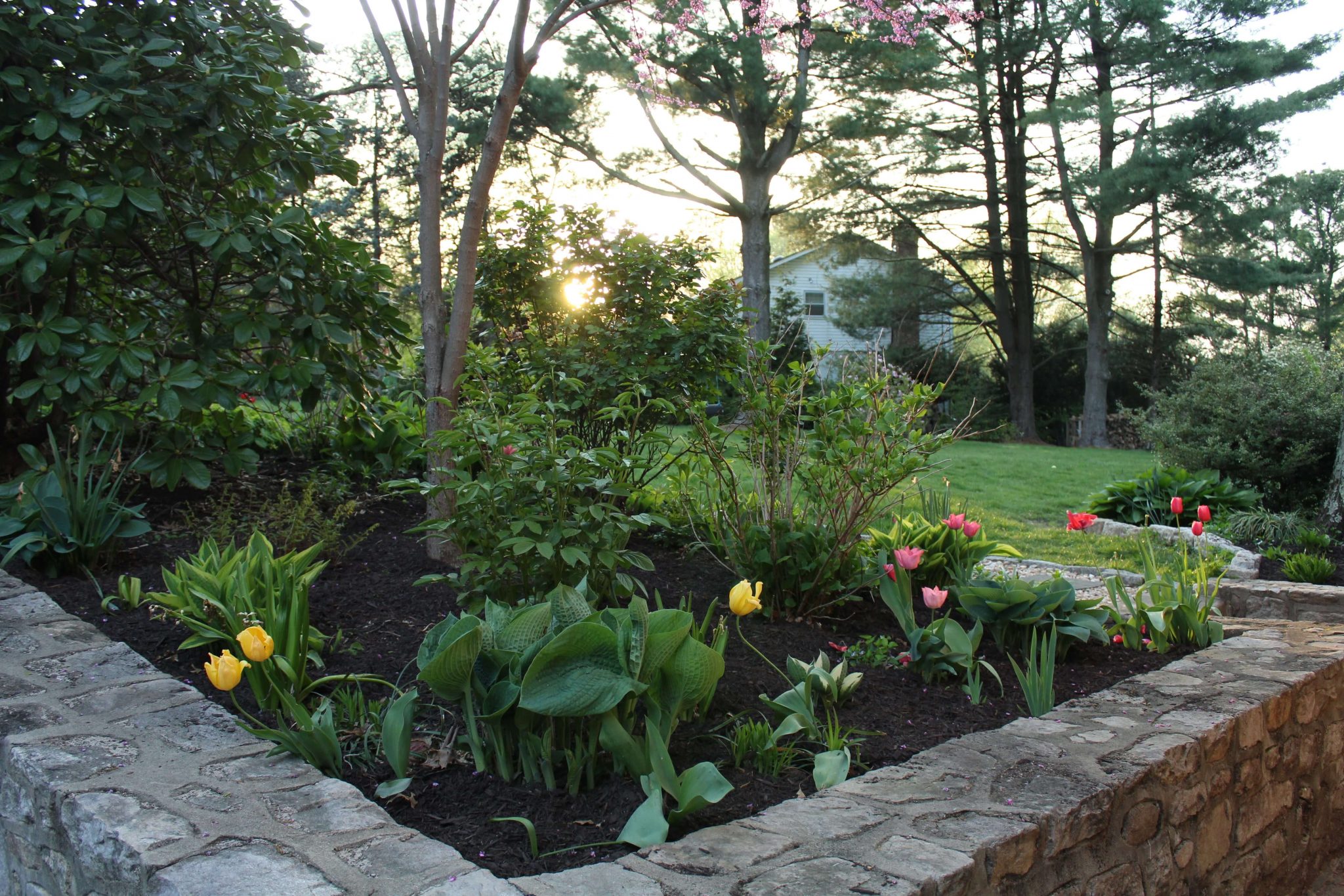Beautiful Spring Garden Tour with my Favorite Spring Plants & Gardening ...
