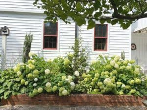 3 Beautiful Tips to Rock Landscaping under a Front Window or Picture ...